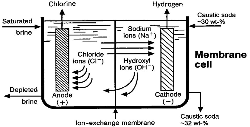 Technology: Generic Membrane Chloralkali